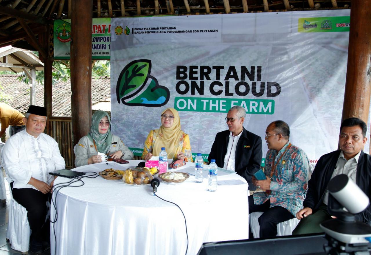 Talas Beneng, dari Tanaman Liar Menjadi Varietas Unggul Nasional ...